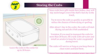Transportation of live crab and their process | PPTX