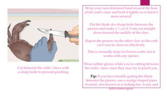 Transportation of live crab and their process | PPTX