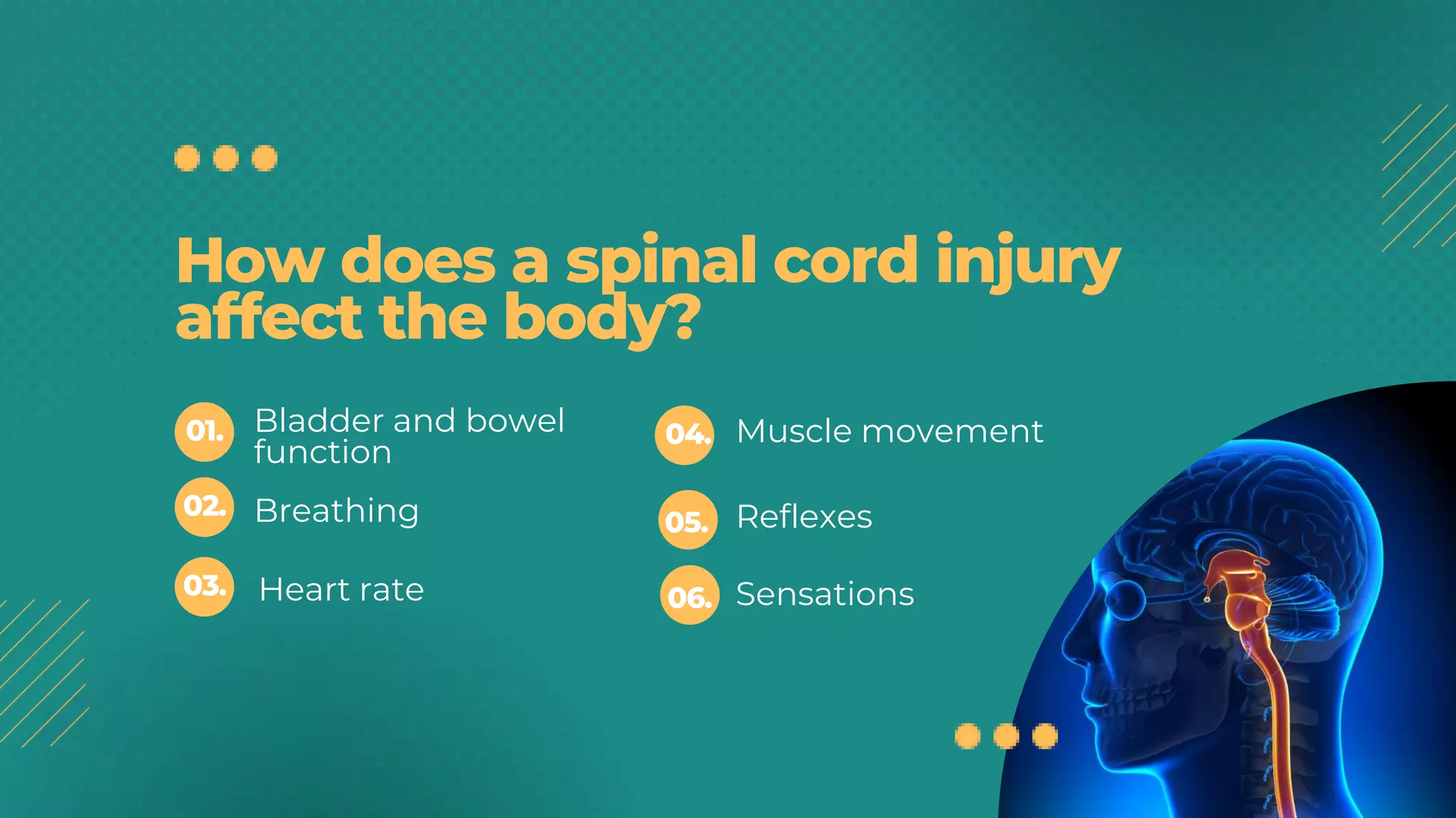 How to Treat Spinal Cord Injuries With Stem Cell Therapy - Dr. David ...