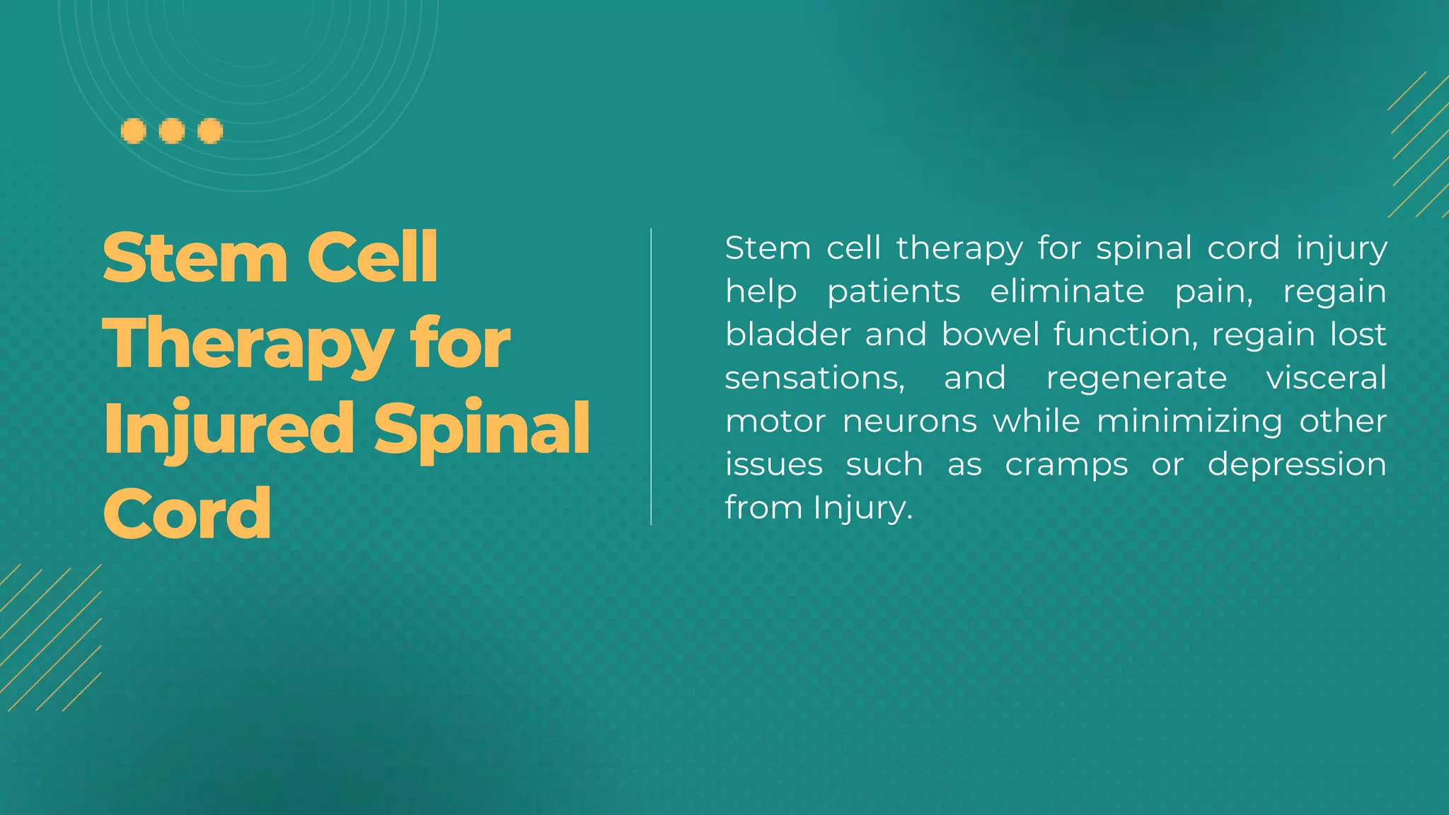 How to Treat Spinal Cord Injuries With Stem Cell Therapy - Dr. David ...