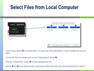 How to upload and view data | PPT