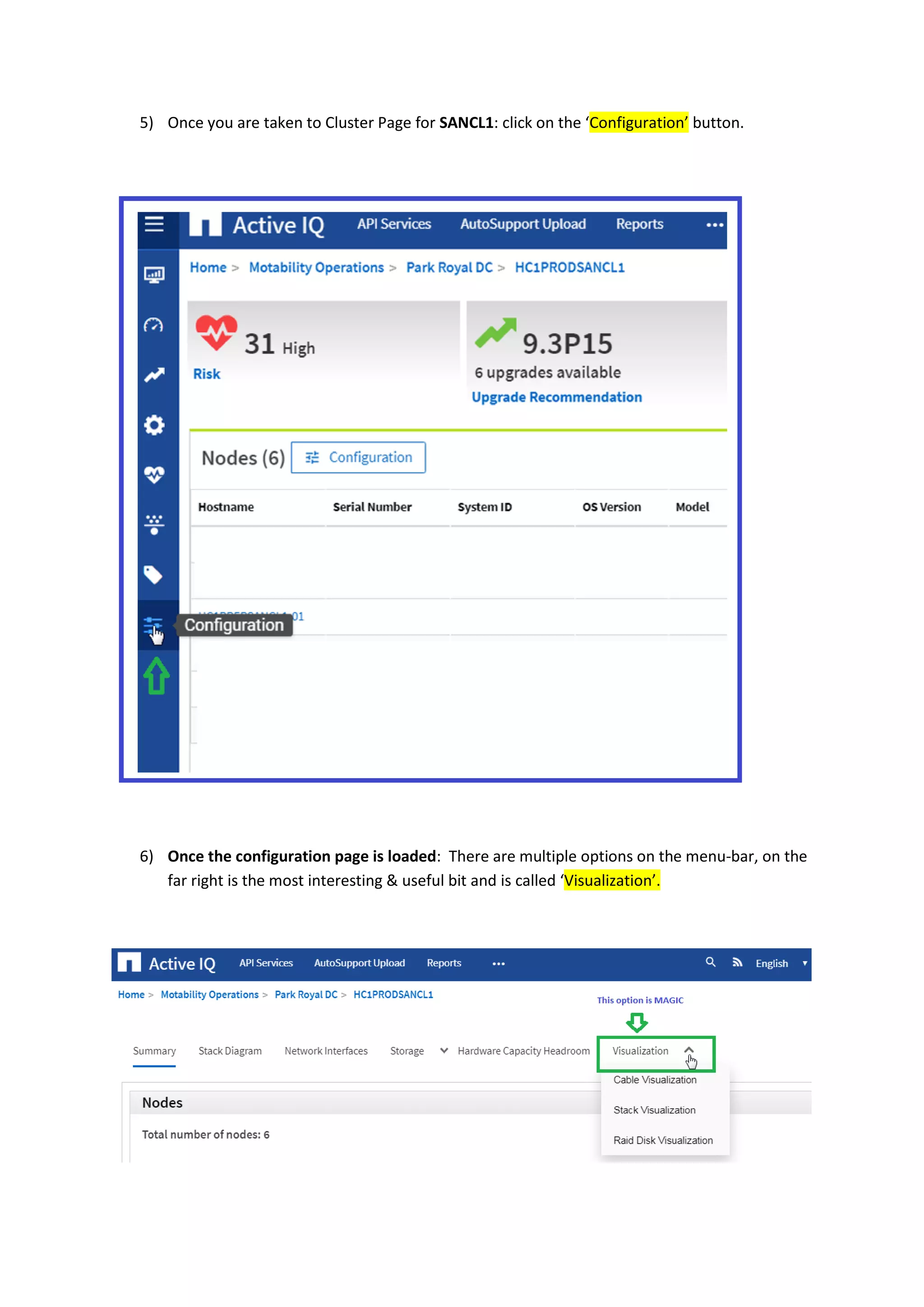 How to use Active IQ tool to access filer information | PDF