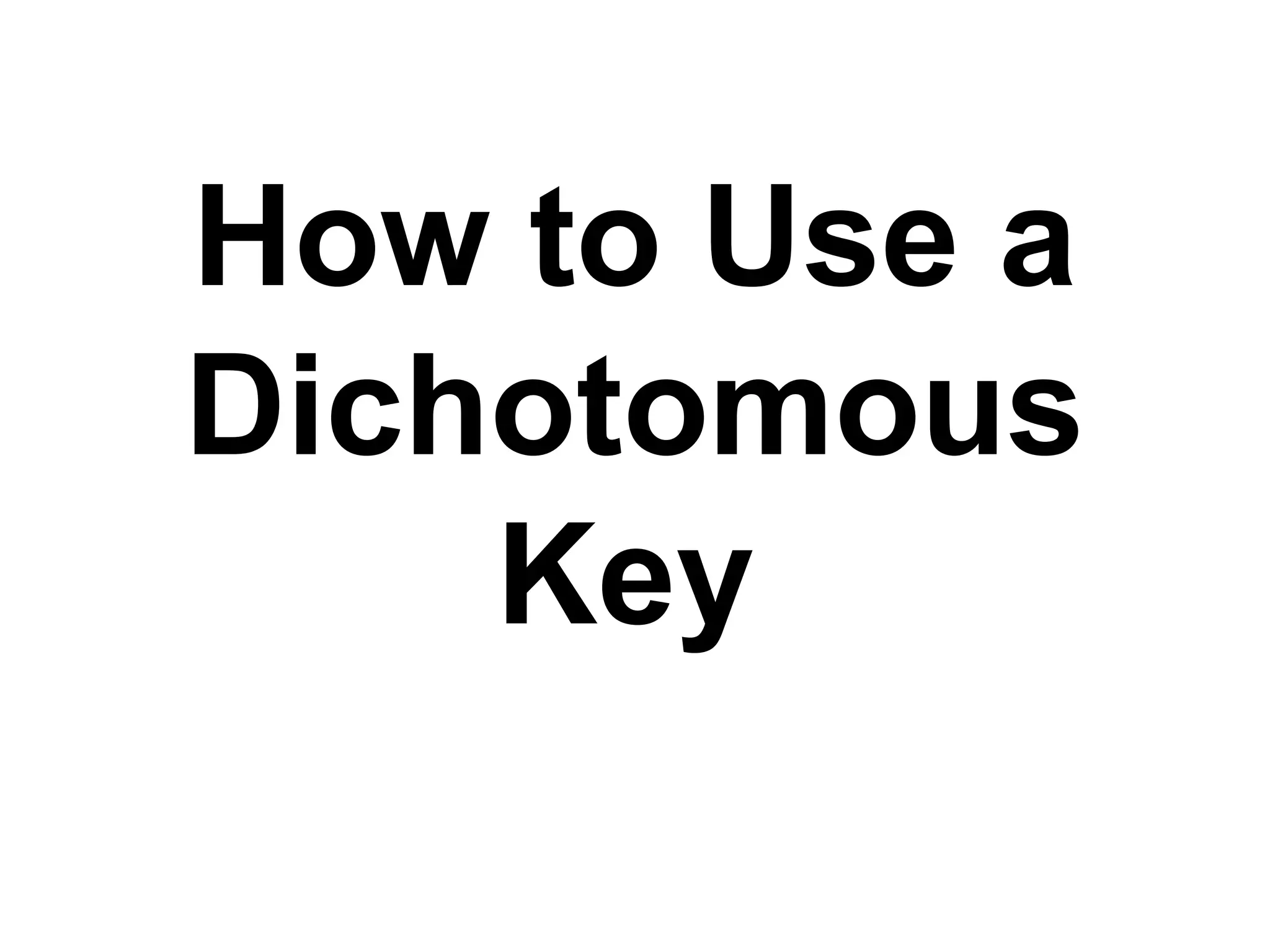 How to use a dichotomous key (2) (5) | PPT