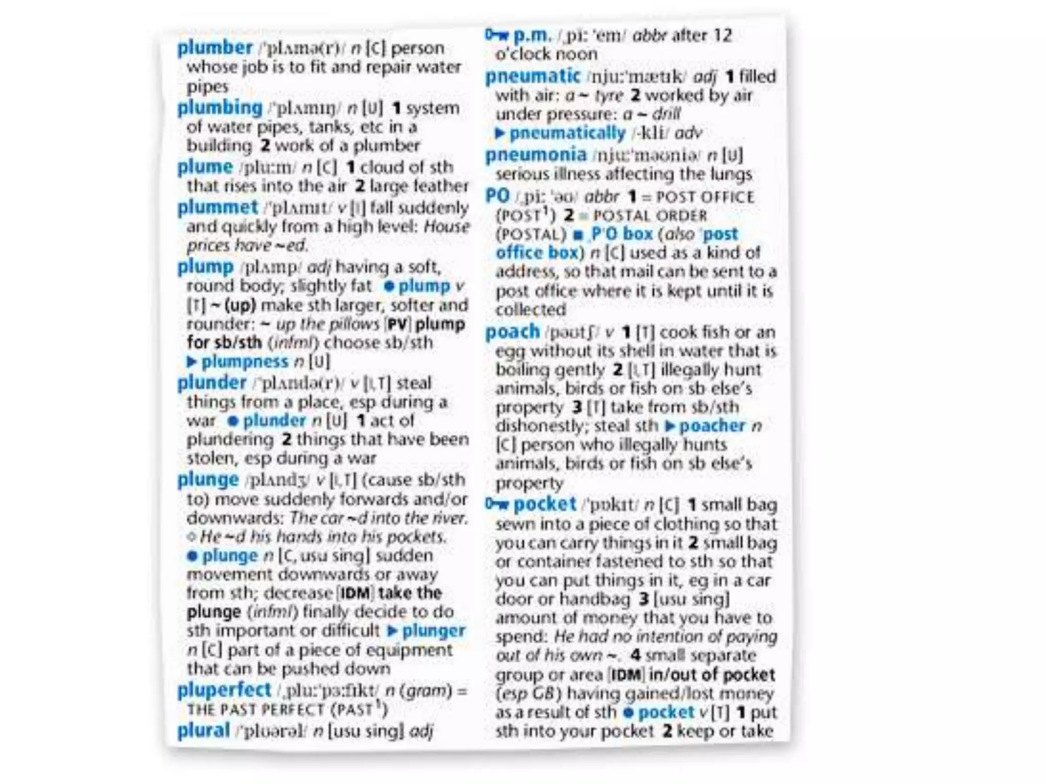 How to use a dictionary | PPTX