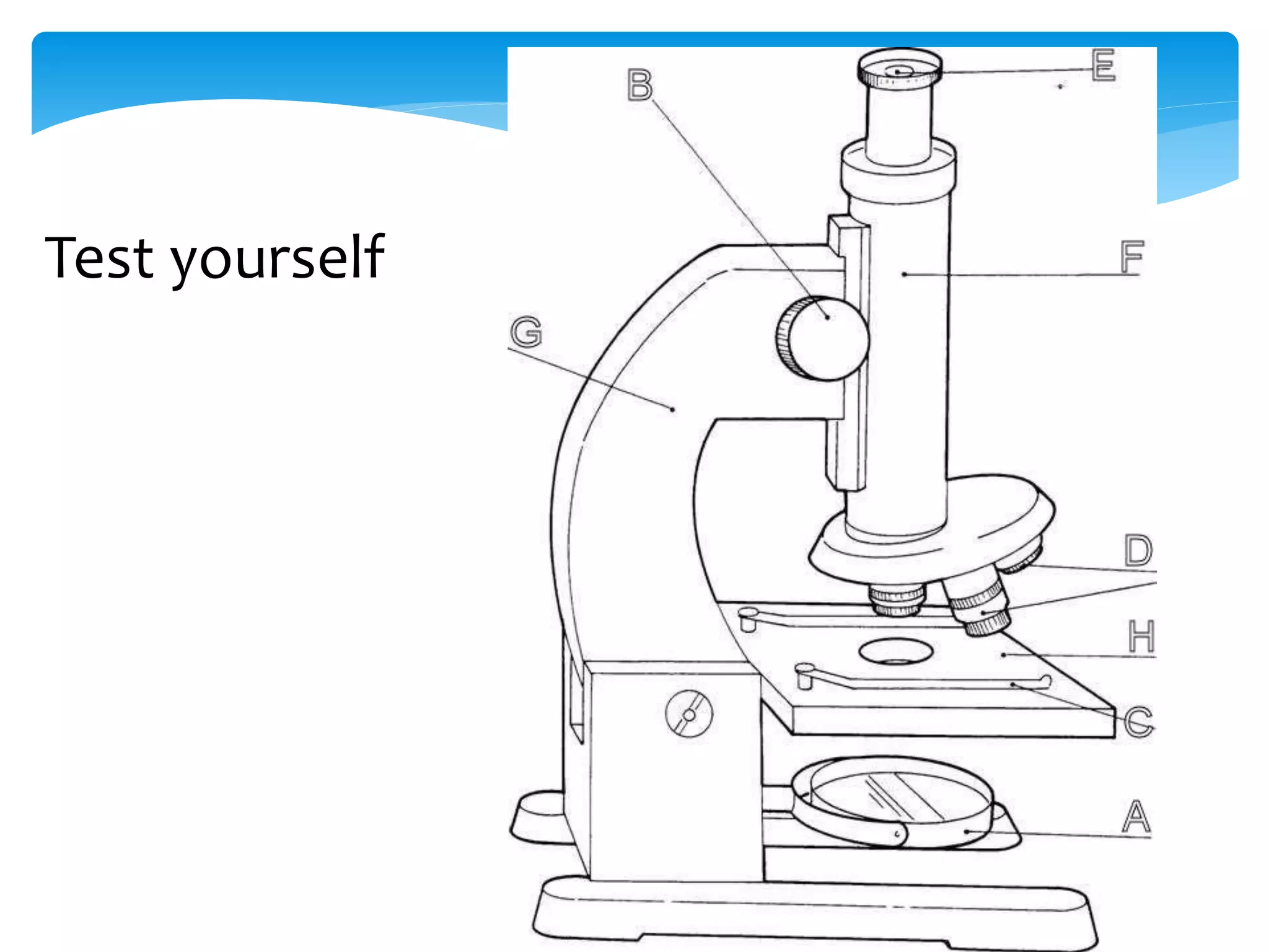 How to use a microscope | PPTX