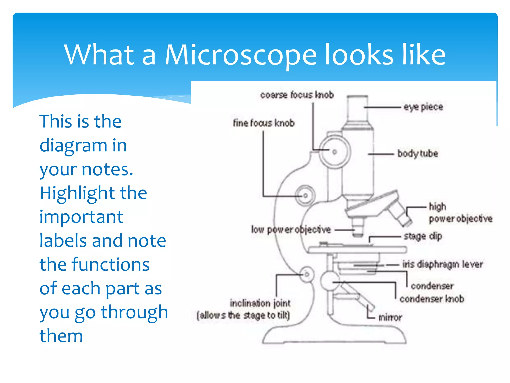 How to use a microscope | PPTX