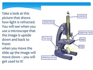 How to use a microscope | PPTX
