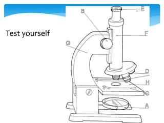 How to use a microscope | PPTX