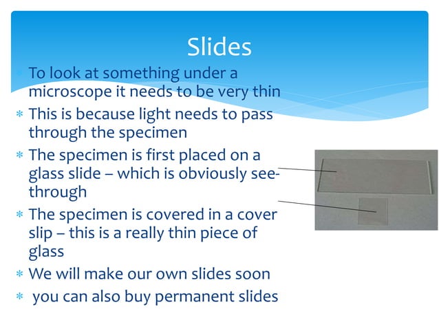 How to use a microscope | PPTX | Biological Sciences | Science