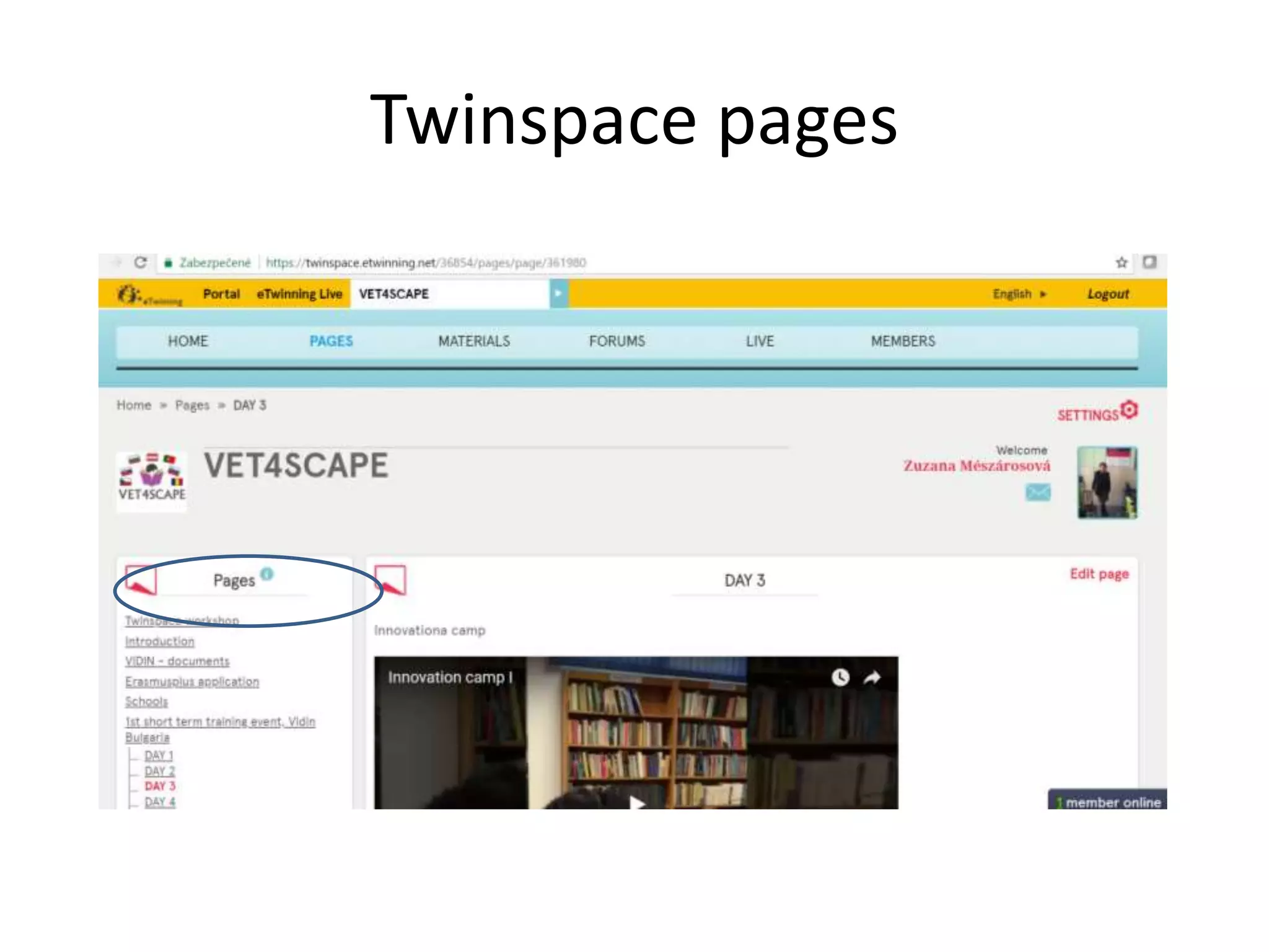 How to use a twinspace | PPTX