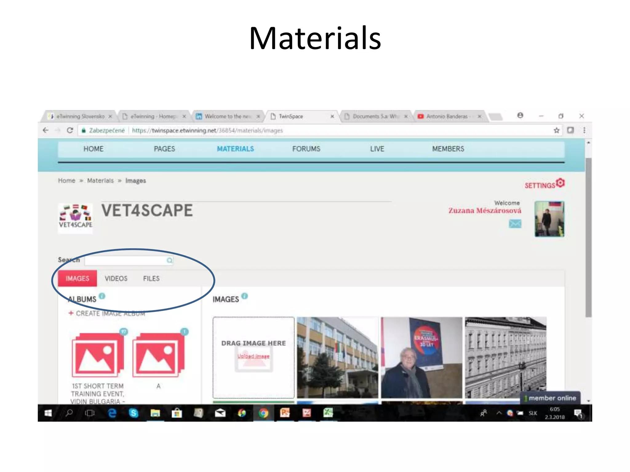 How to use a twinspace | PPTX