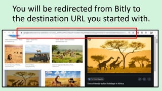 How to Use Bit ly | PPTX