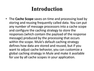 How to use Cache scope | PPTX | Programming Languages | Computing