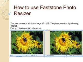 How to use faststone photo resizer | PPSX