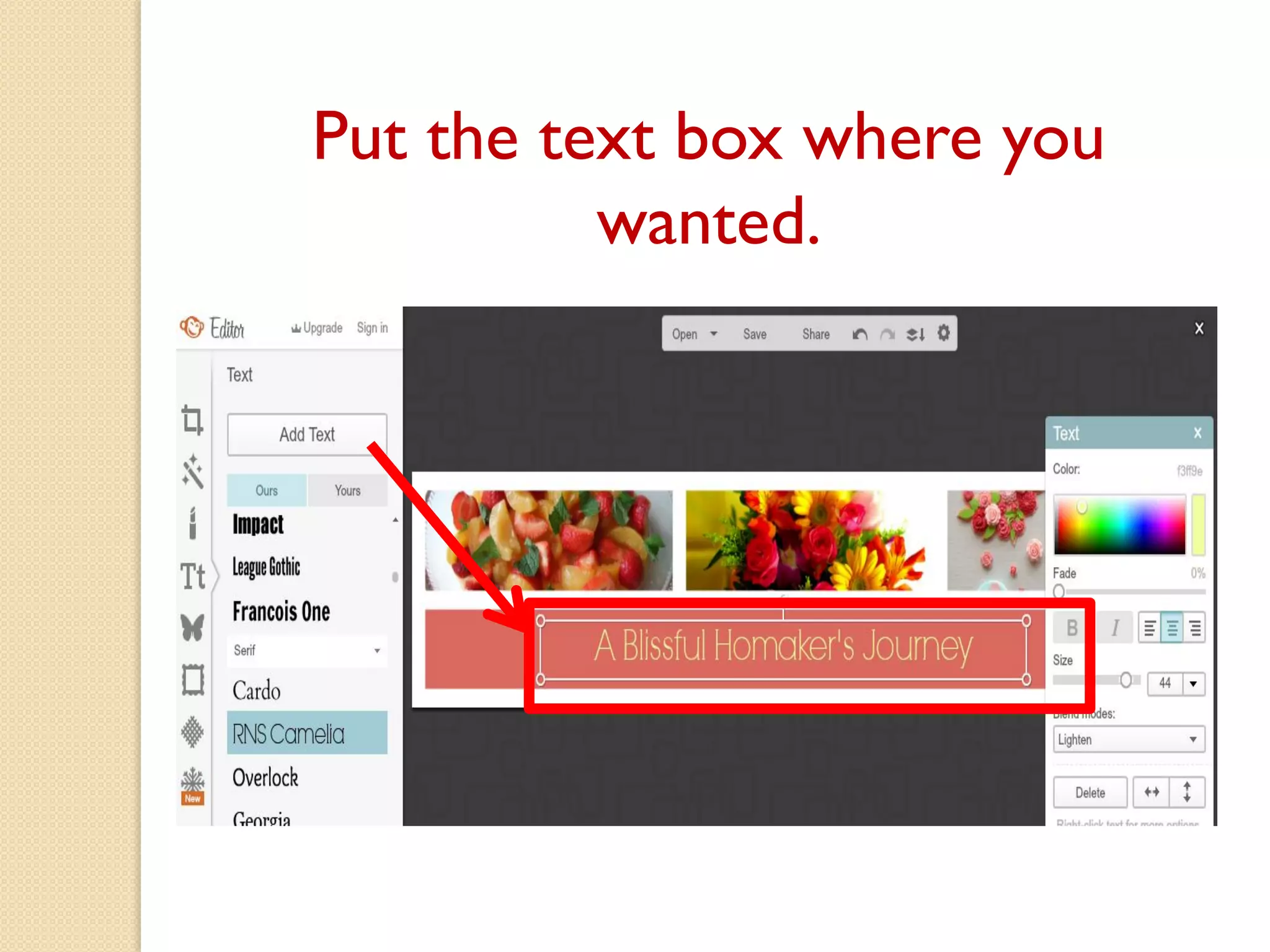 How to Use Picmonkey | PPT