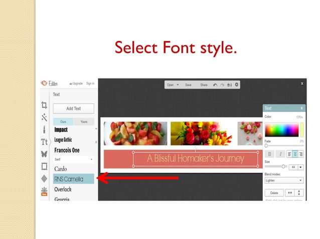 How to Use Picmonkey | PPT