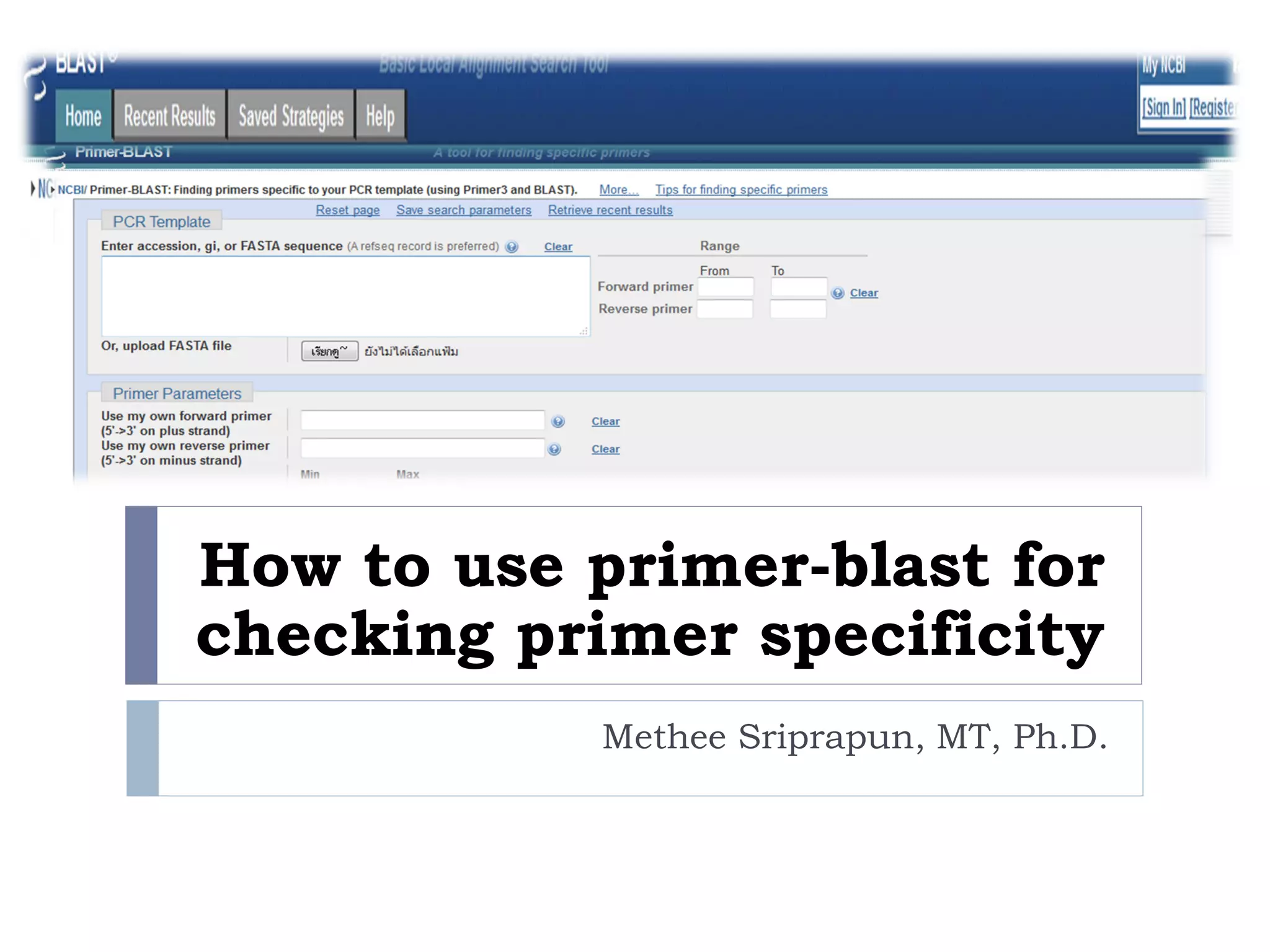 How to use primer blast for checking primer specificity | PDF