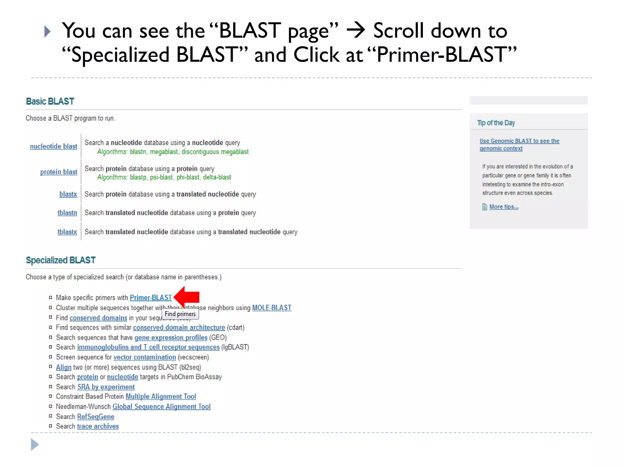 How to use primer blast for checking primer specificity | PDF