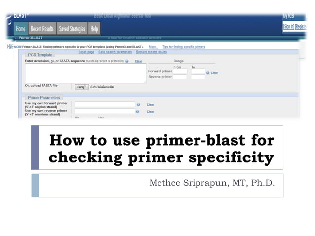 How to use primer blast for checking primer specificity | PDF