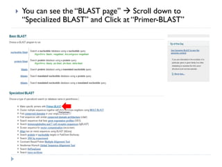 How to use primer blast for checking primer specificity | PDF