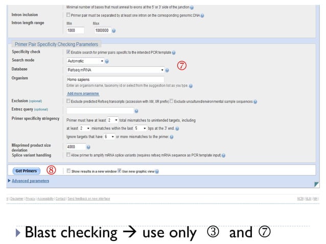 How to use primer blast for checking primer specificity | PDF