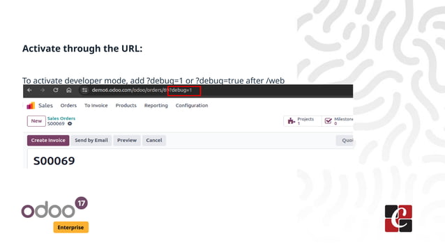 How to View Raw Data in Odoo 17 Debug Mode | PPTX