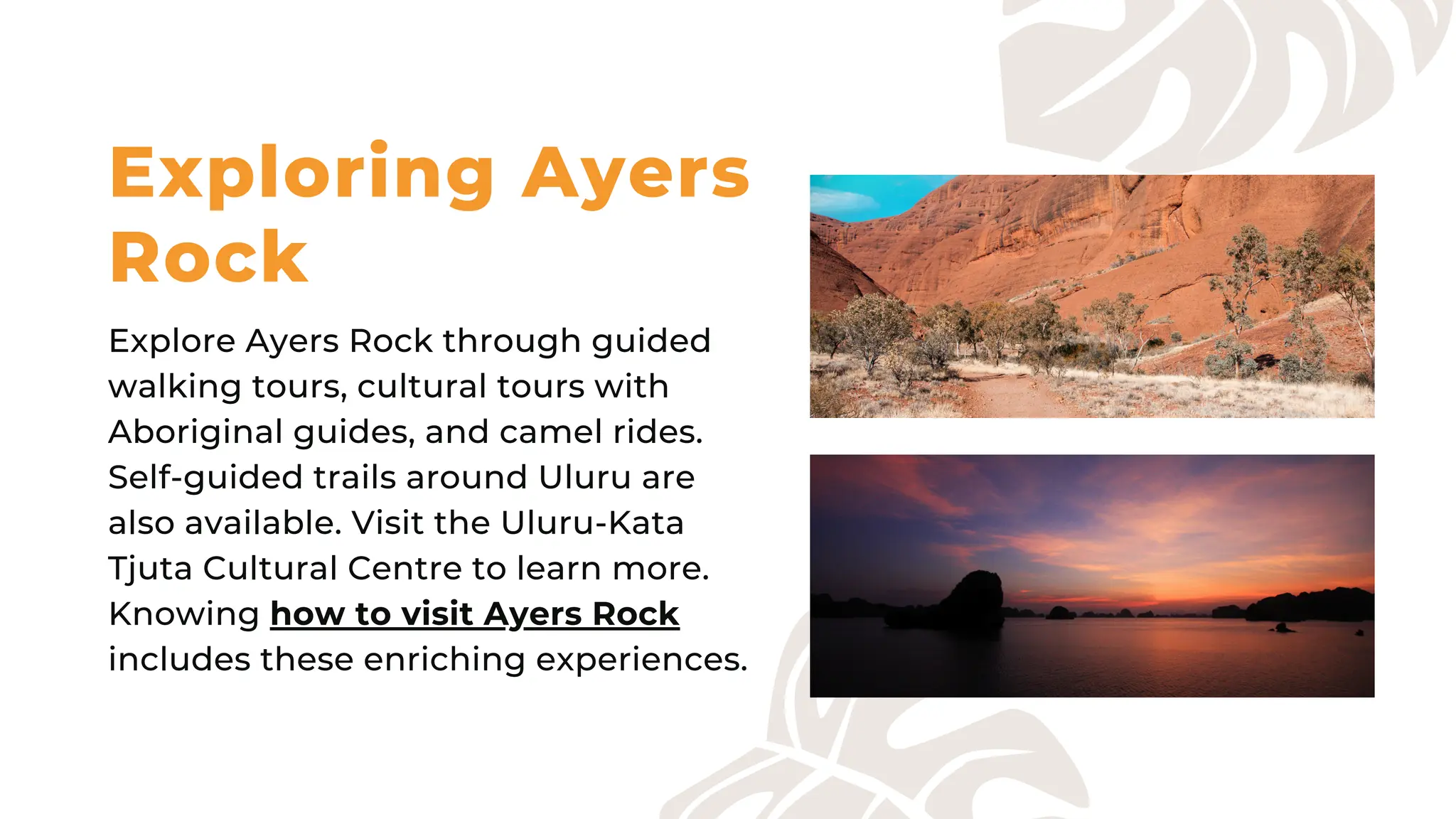 How To Visit Ayers Rock An Ultimate Guide (1).pdf