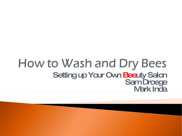 How To Wash Bees | PPT