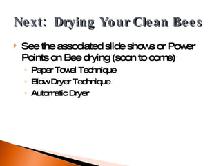 How To Wash Bees | PPT