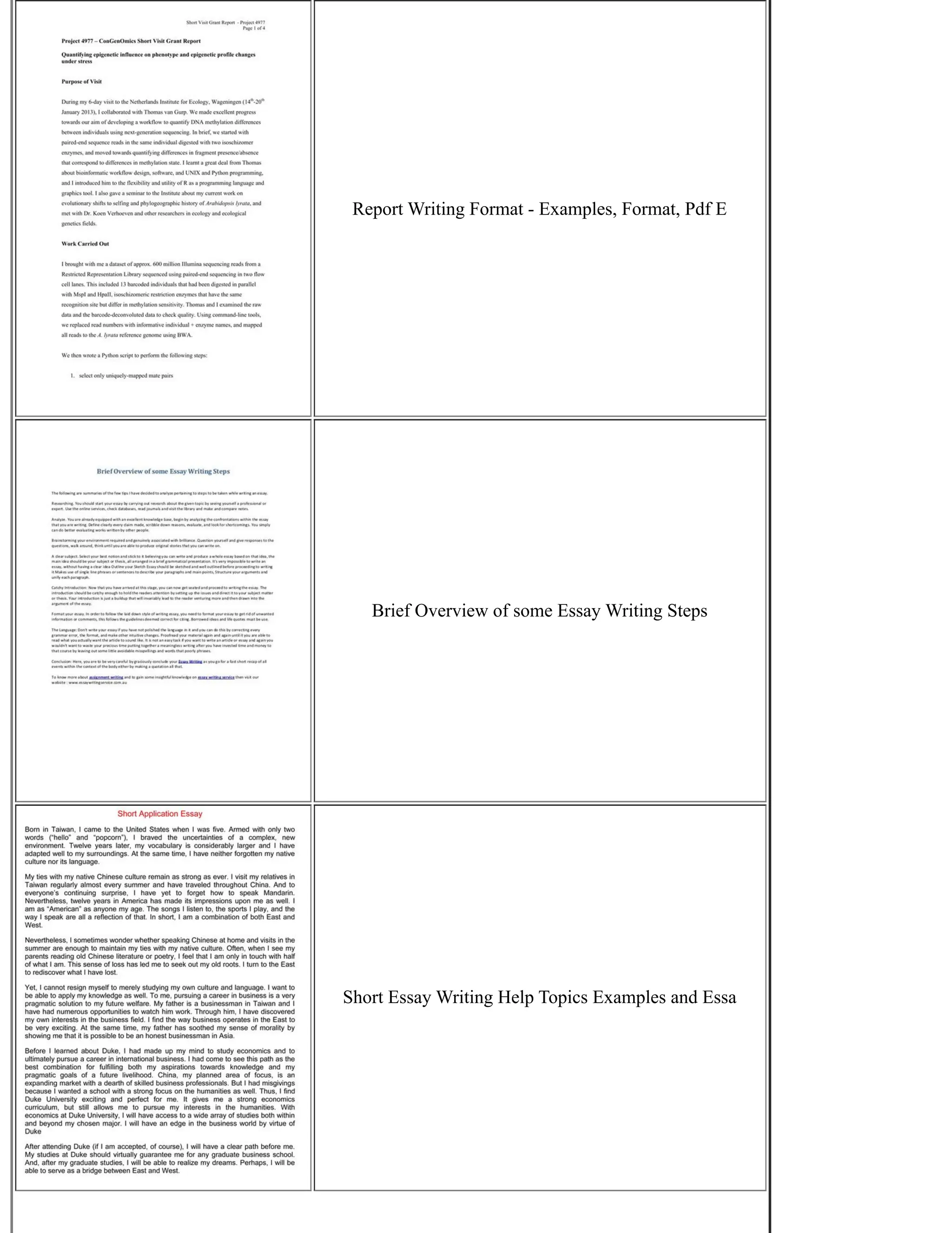 How To Write A Brief Essay | PDF