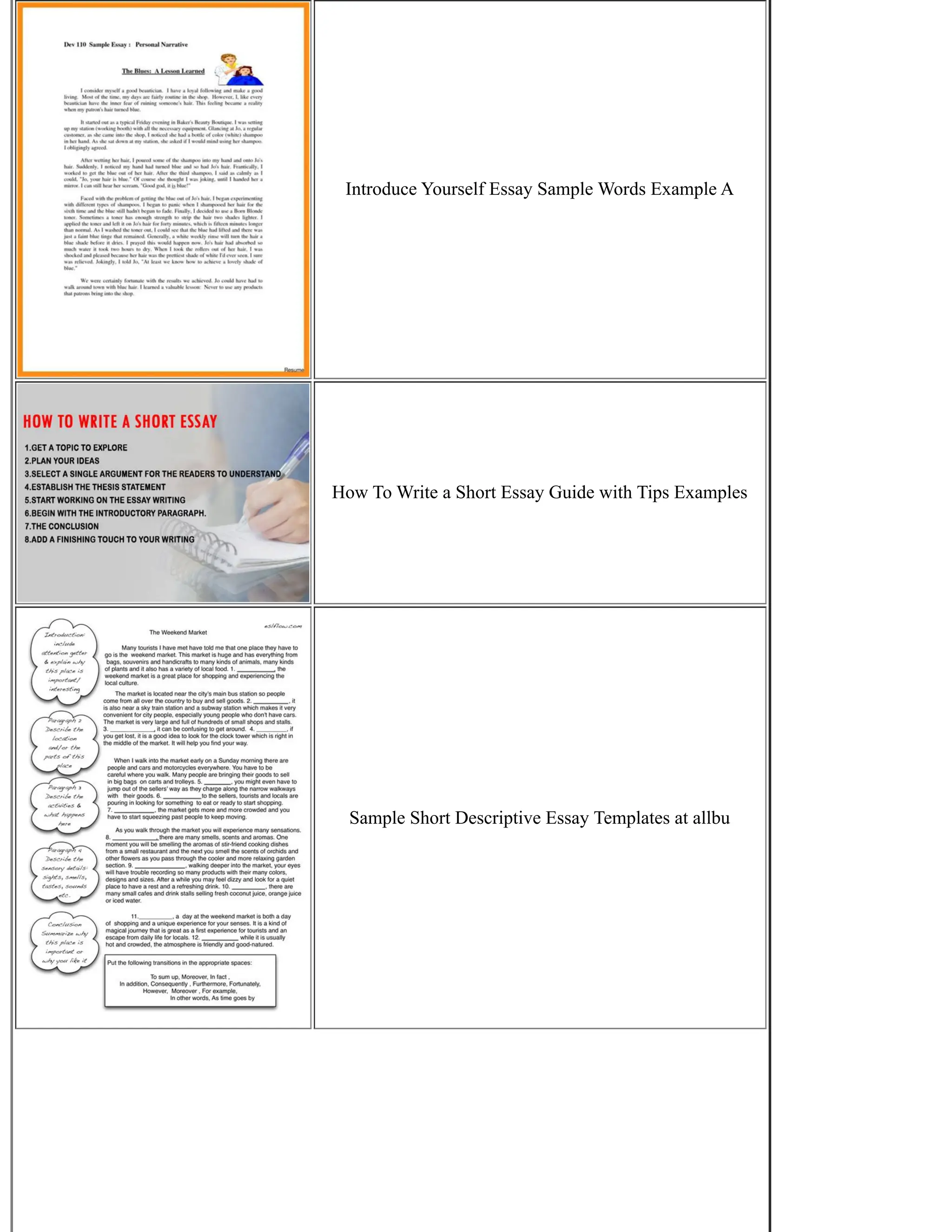 How To Write A Brief Essay | PDF