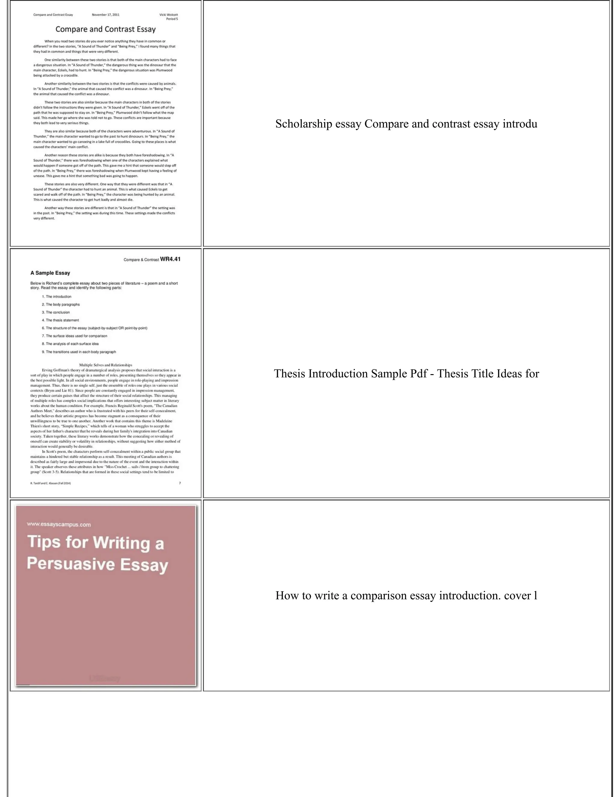 How To Write A Comparison Essay Introduction | PDF