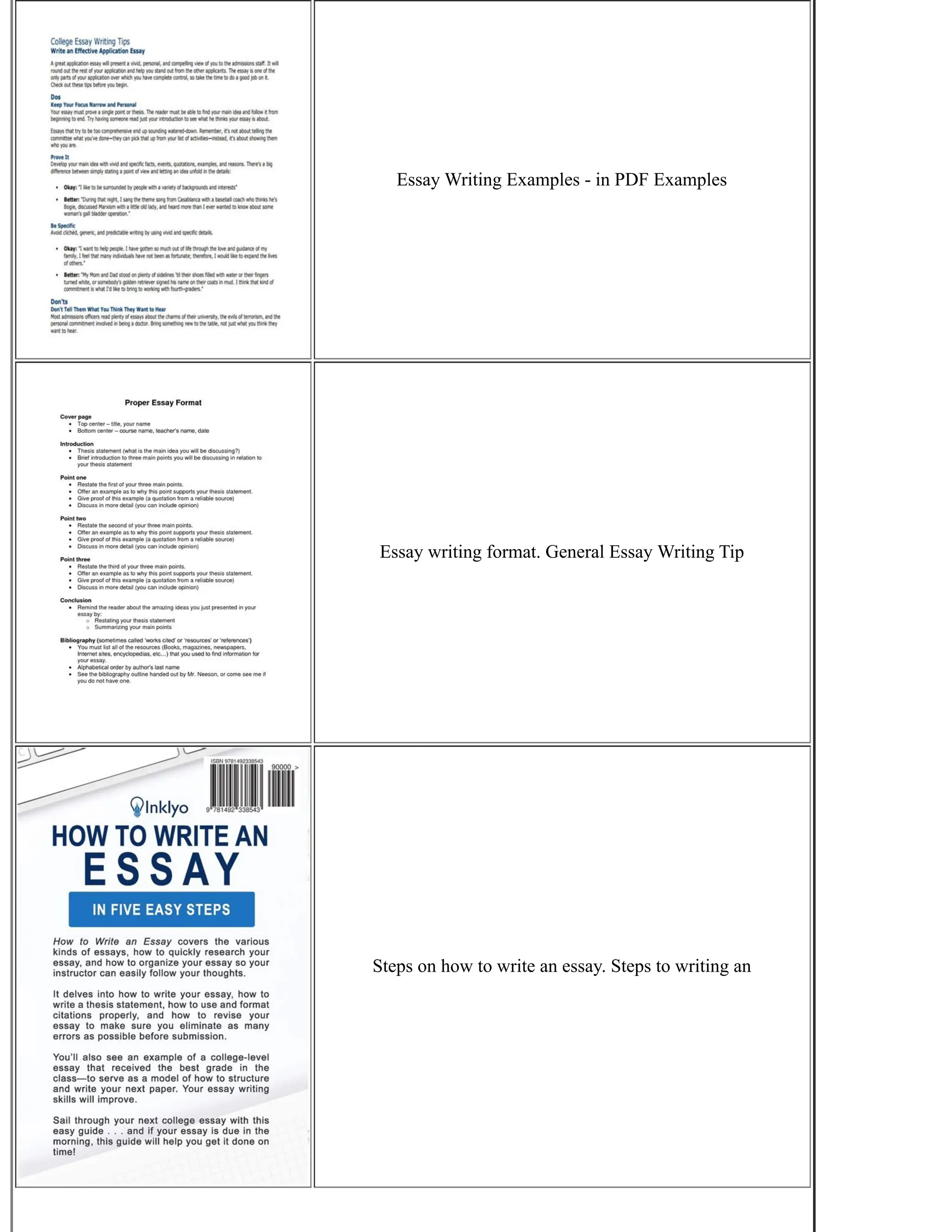 How To Write A Essay Writing | PDF