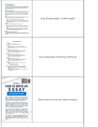 How To Write A Essay Writing | PDF