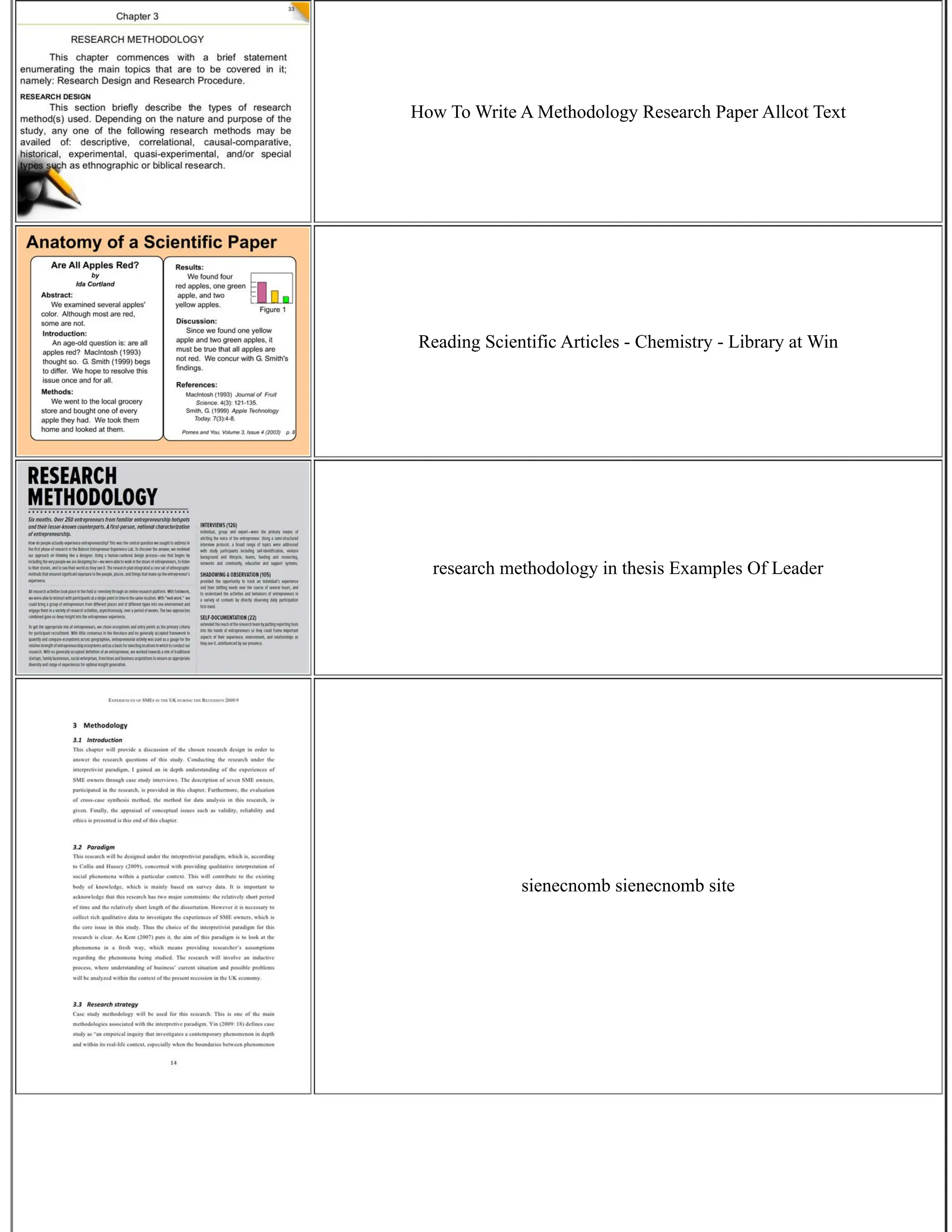 How To Write A Methodology For A Research Paper | PDF