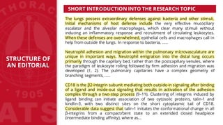 How to Write an Editorial | PDF