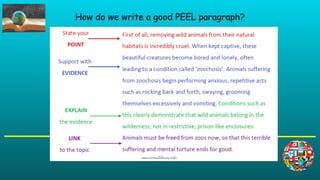 HowtowriteaneffectivePEELparagraph-1.pptx