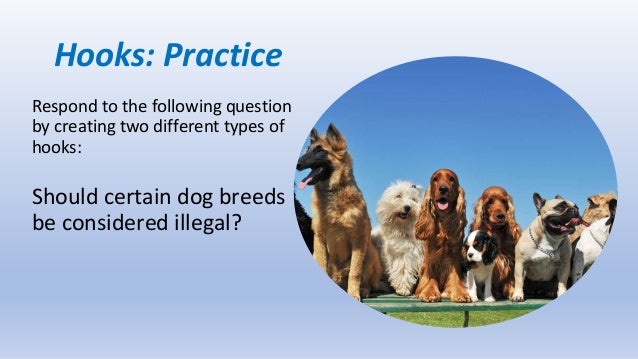 How to write an introduction | PPT