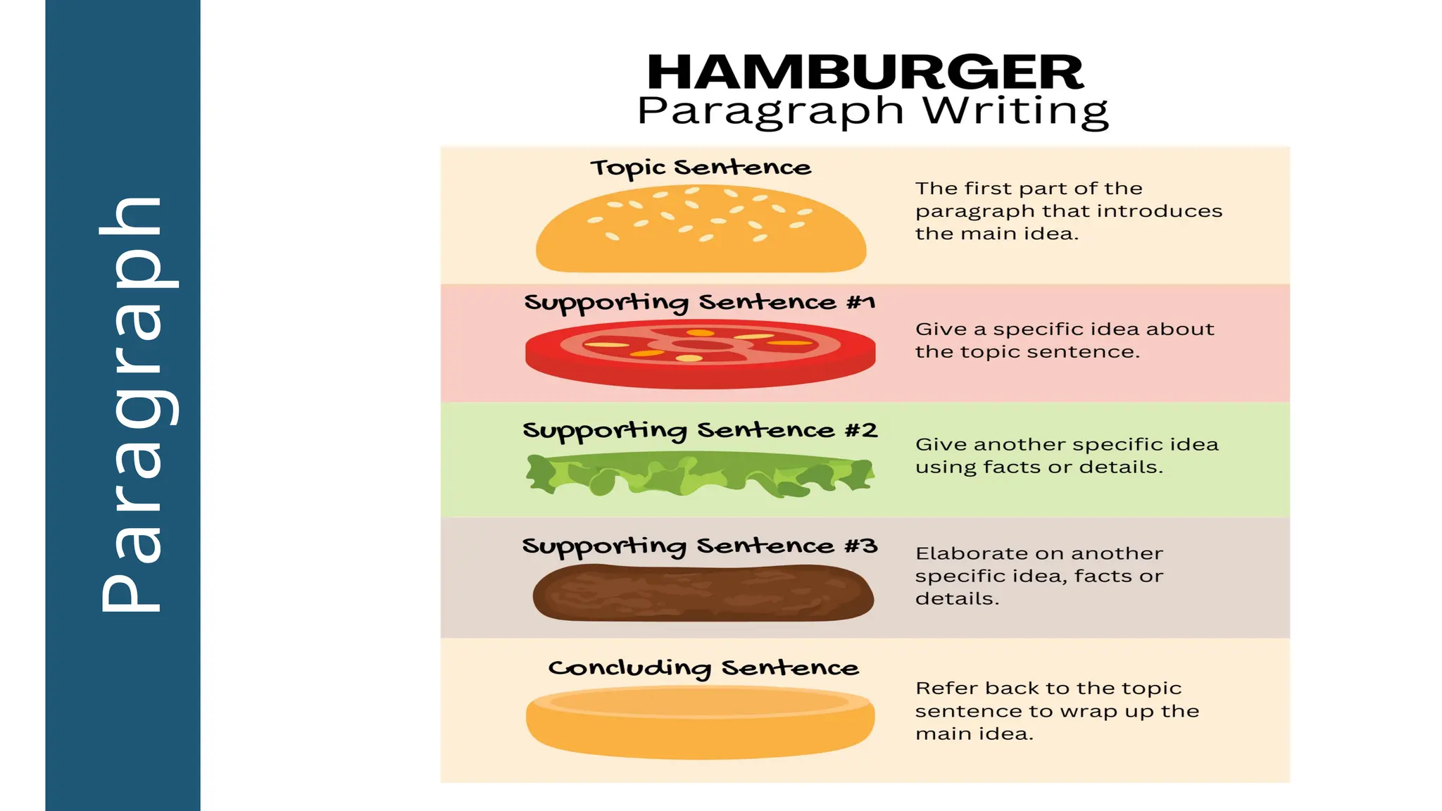 How to write simple paragraph for beginner | PPT