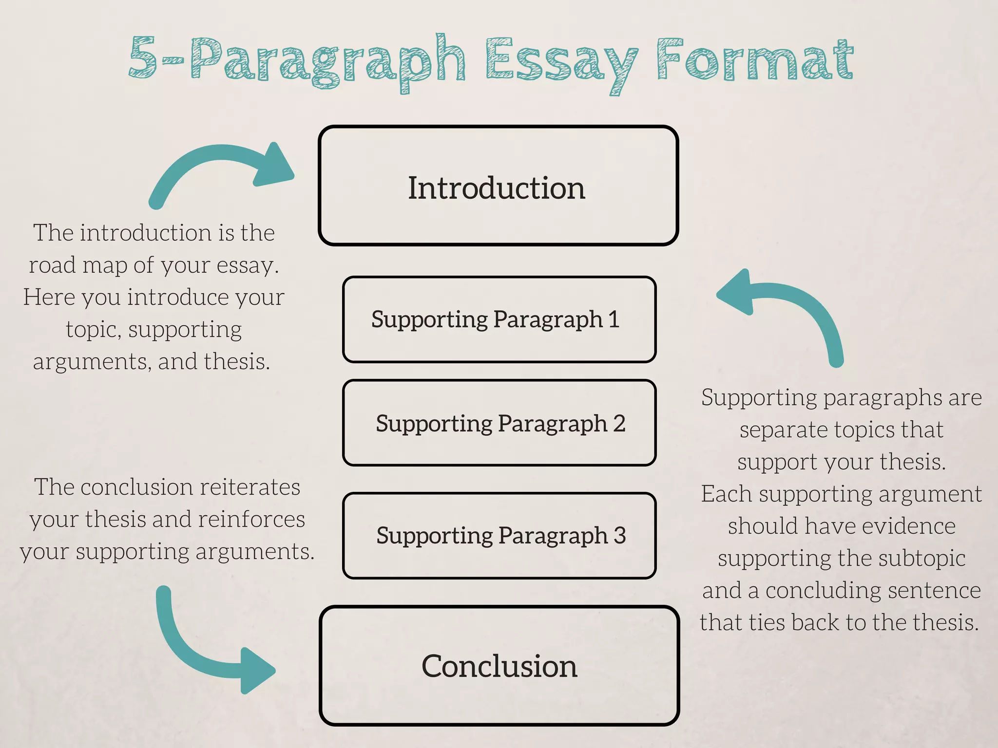 How to Write a Paragraph | PDF