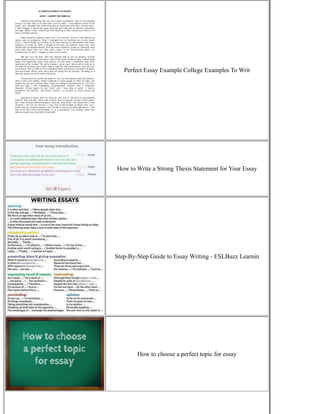 How To Write A Perfect Essay | PDF