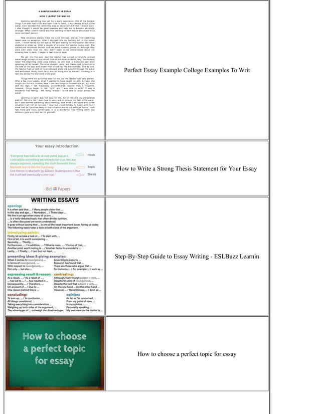 How To Write A Perfect Essay | PDF