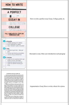 How To Write A Perfect Essay | PDF