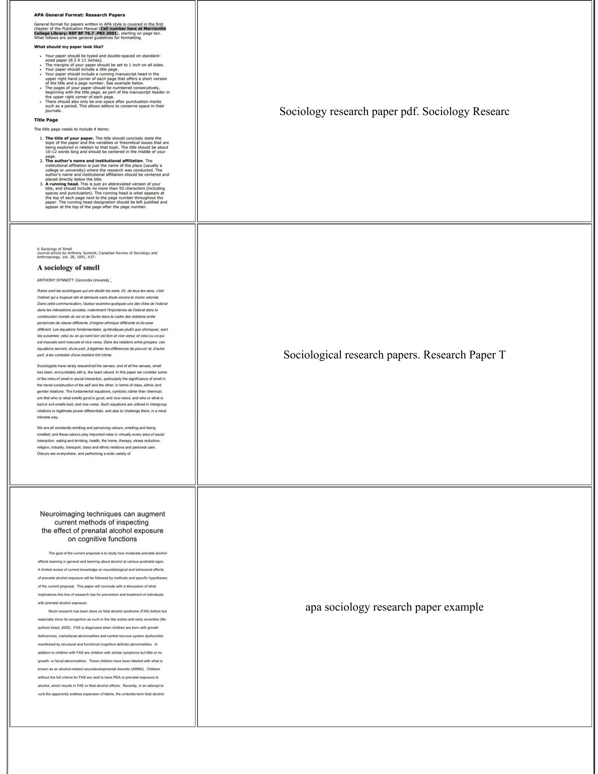 How To Write A Sociology Research Paper | PDF