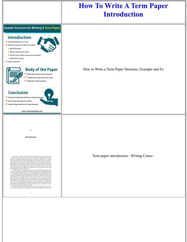 How To Write A Term Paper Introduction | PDF