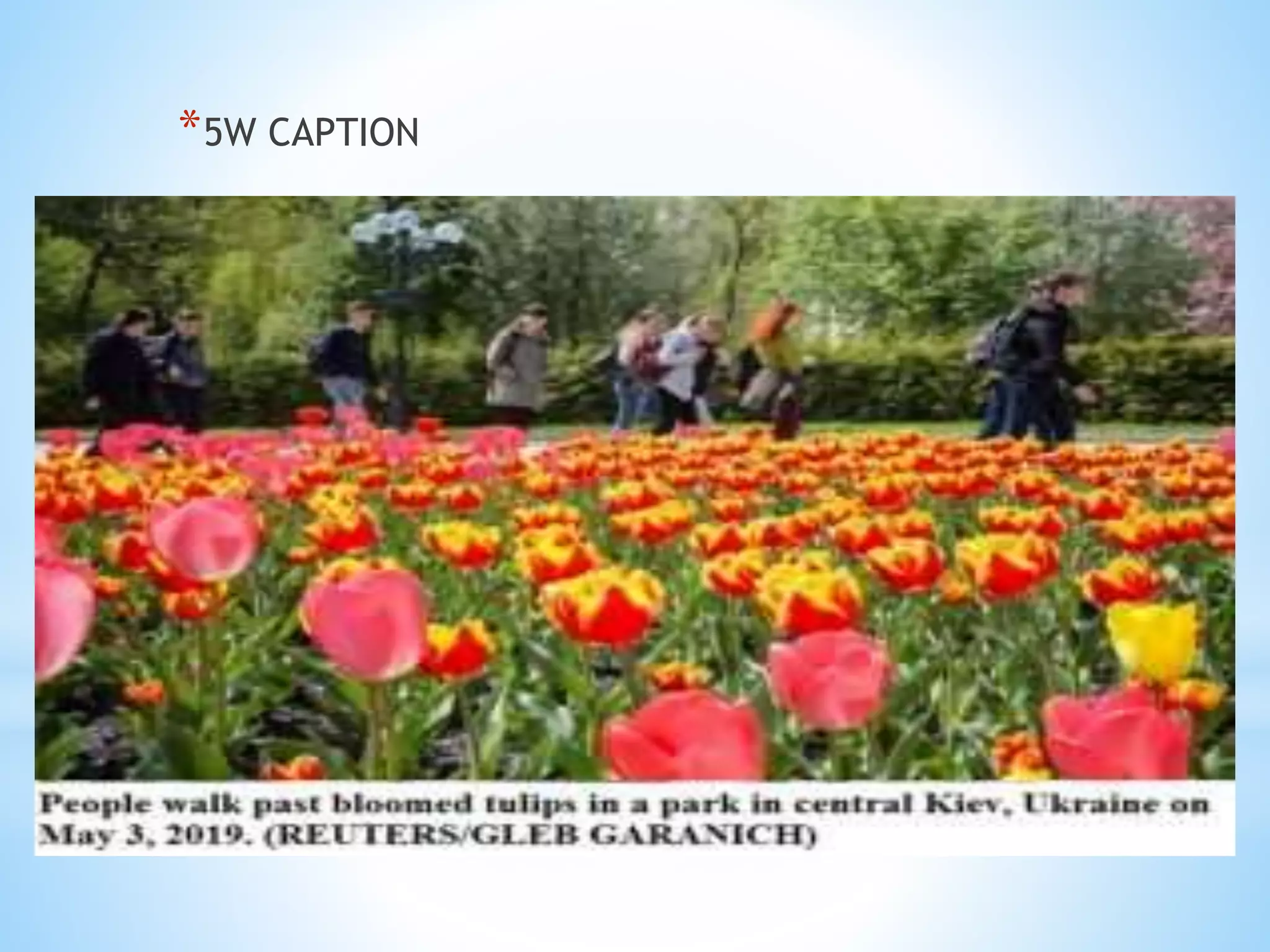 How to write CAPTION PPT.pptx