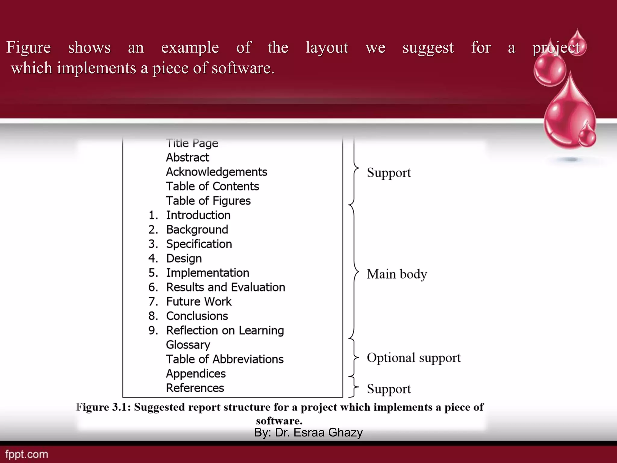 How to write your Graduation Project | PDF