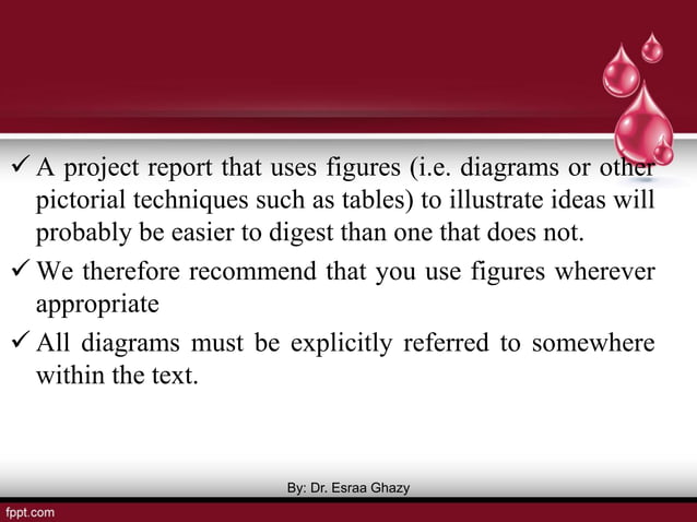 How to write your Graduation Project | PDF