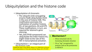 How ubiquitin and SUMOs control trx.pptx