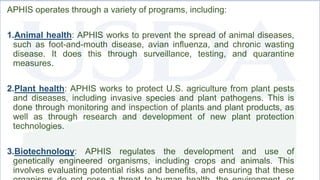 How US Department of Agriculture Works(USDA.pptx